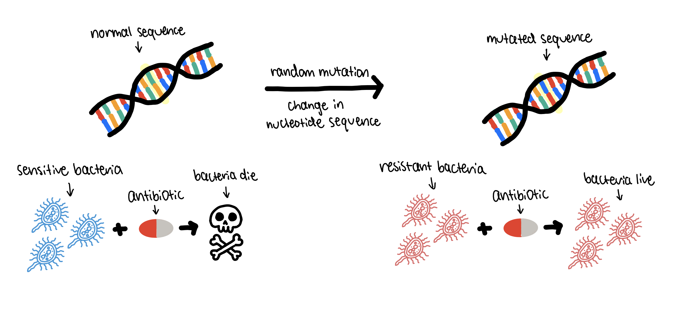 Causes, Mechanisms, and Outcomes of Antibiotic Resistance | Pollock ...