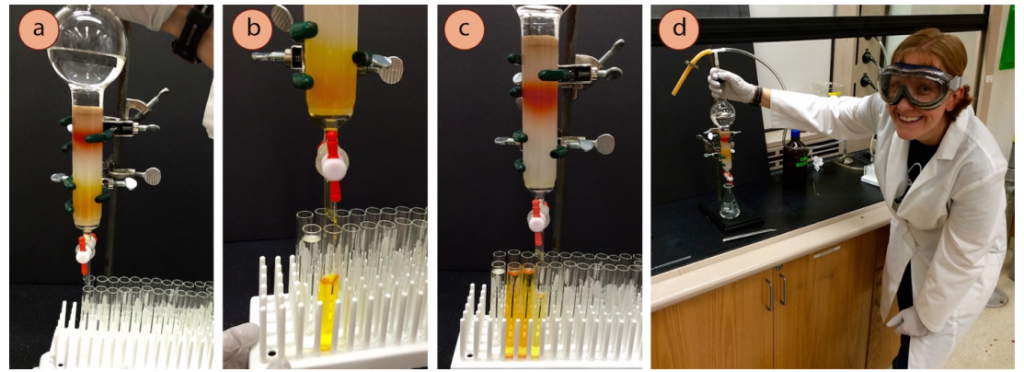 Column Chromatography | Organic Chemistry I Lab