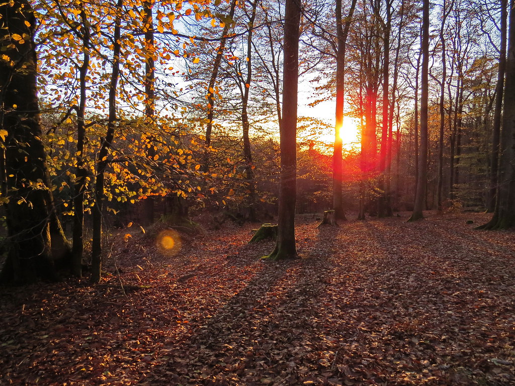 Parsons Playlists: Autumn Anthems | Listening In