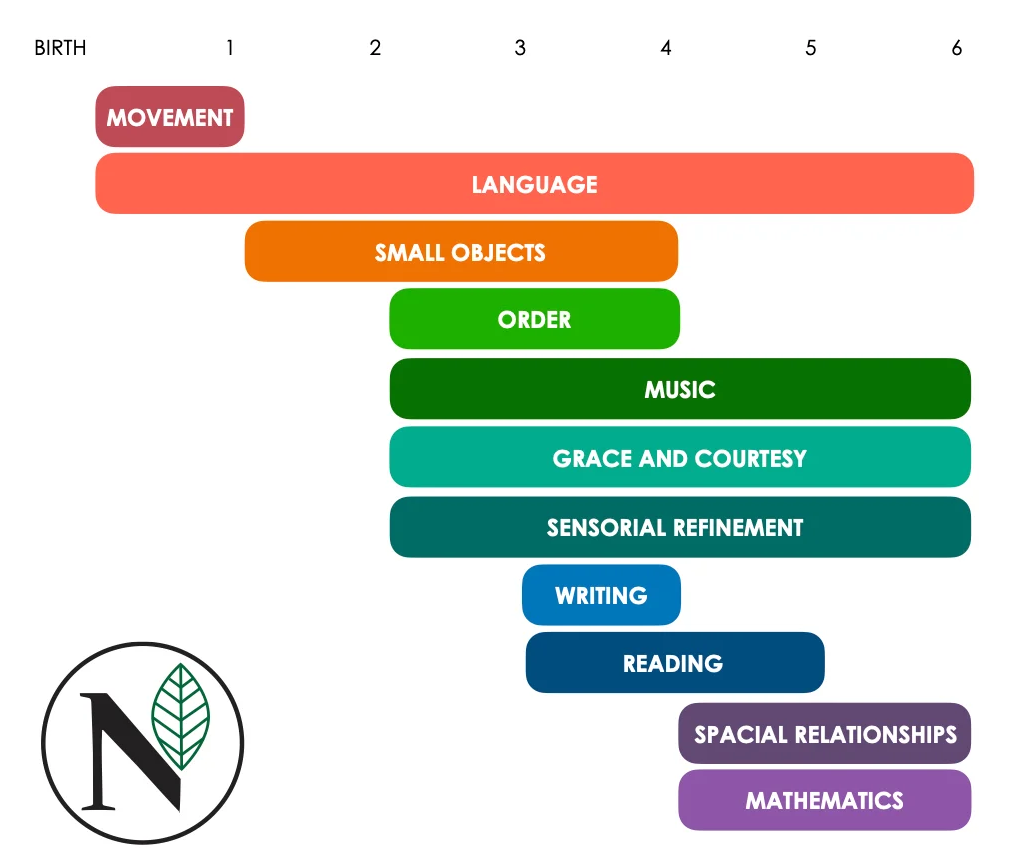 Music as a Pathway to Brain Building & Language Development in Early ...