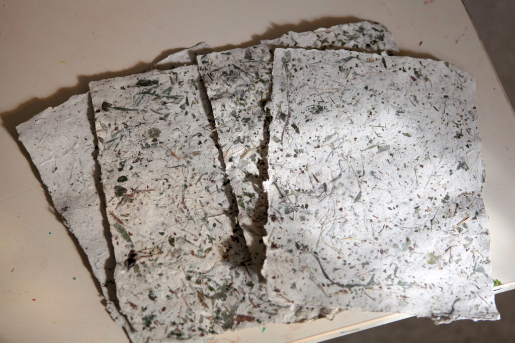 Environmental Stewardship through the Arts – PARTNERS IN THE ARTS