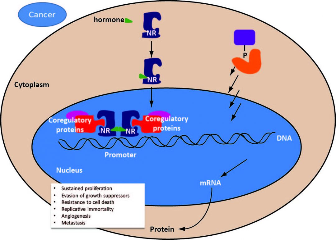 Using Chemistry to Explore Cancer Biology | Pollock Research Lab