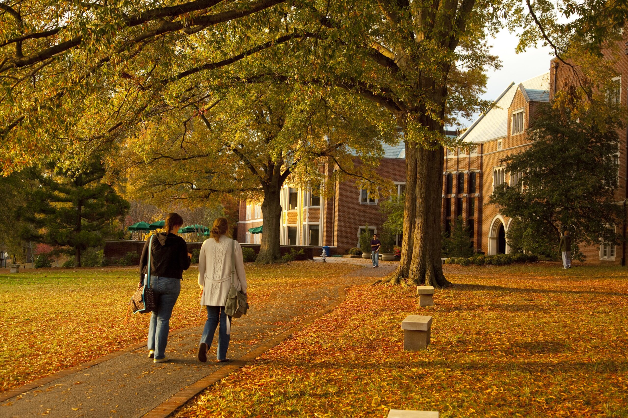 Fall Semester 2024 Updates – What's New