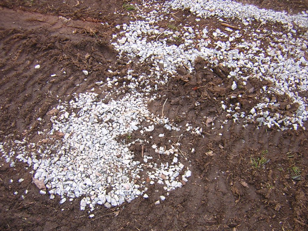 Word of the Week! Scruples – Richmond Writing